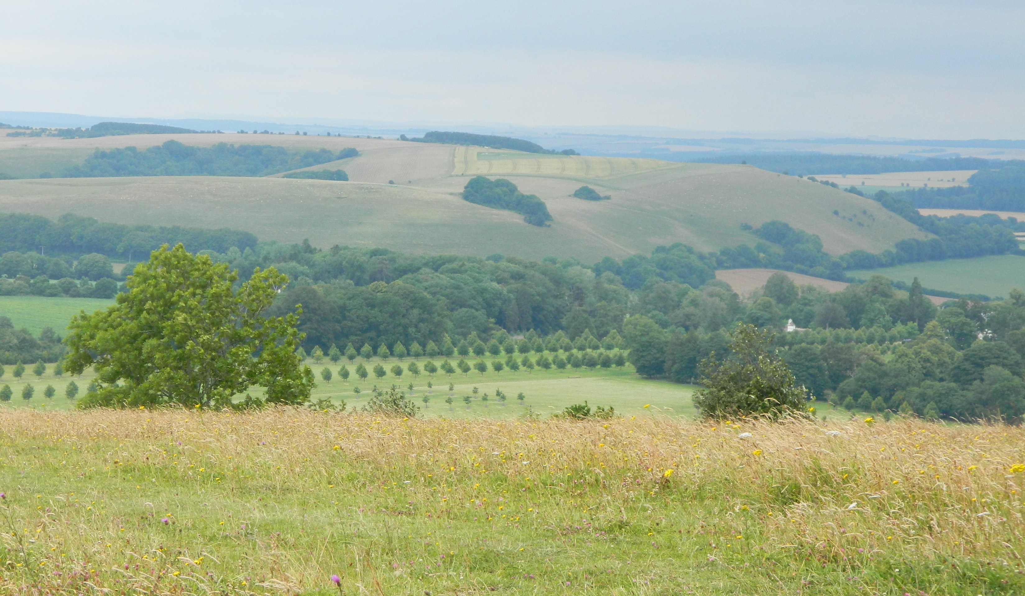 War Games | Paula Harmon