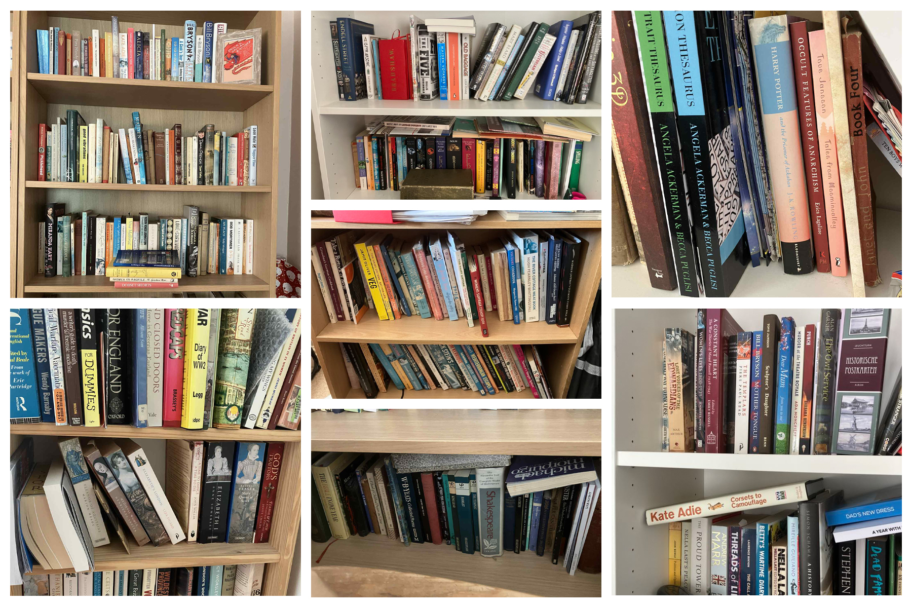 Shelf Life | Paula Harmon